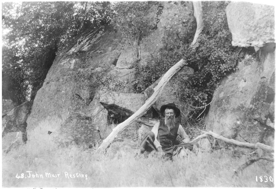 John Muir's Letters Part 2: Lonely in Yosemite | Better Hiker