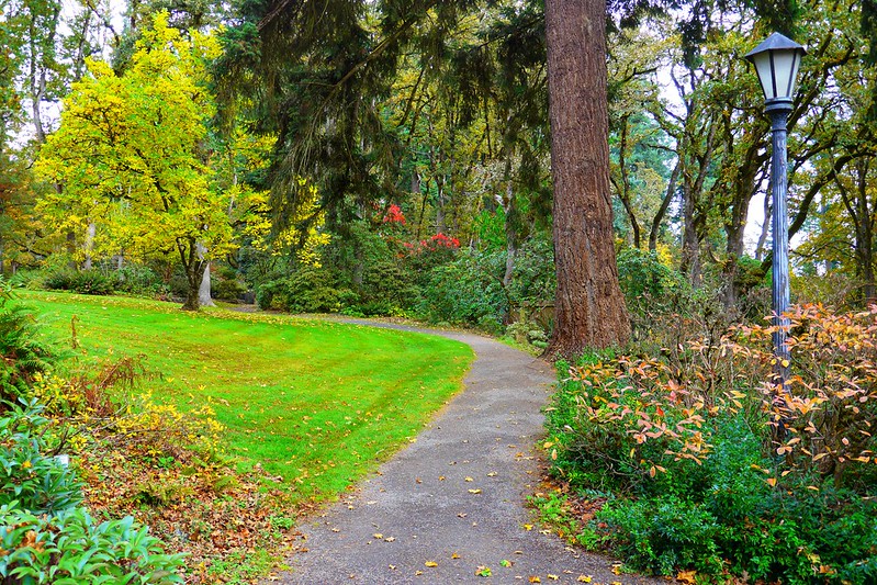 3 Best Hikes in Eugene, Oregon | Better Hiker